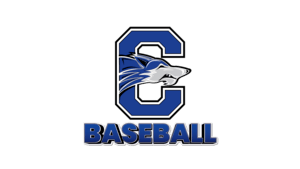 Camps and Clinics - CUSD Community Education