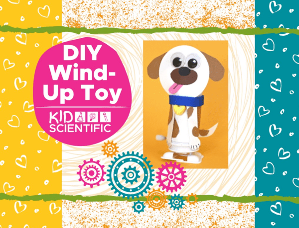 DIY Wind-Up Toy with Kidcreate Studio - St. Francis Area Schools