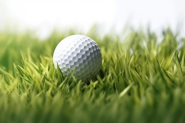 Playgolf - Bryan County Schools