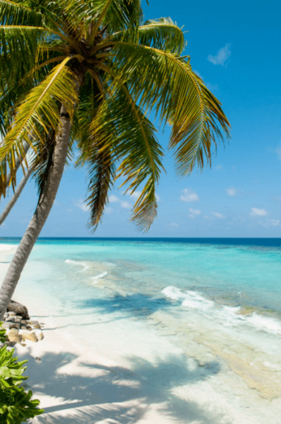 How to Travel for Free - or Very Cheap! - Brainerd Public Schools