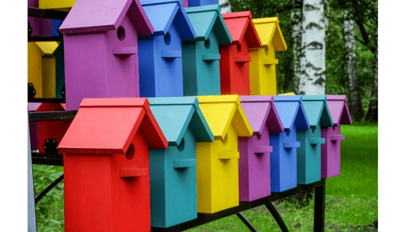Painting Beautiful Birdhouses - Brainerd Public Schools