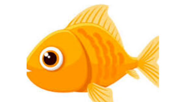 Goldfish - 3-5 Years Old - Chippewa Valley Schools