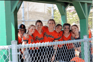 BARC / Brighton Youth Baseball and Softball Program - Brighton ...