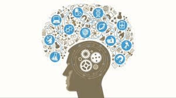 Adult Education / Expand Your Mind - Needham Community Education