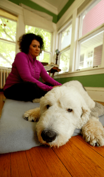 Dog Massage (Northeast) - Minneapolis Public Schools