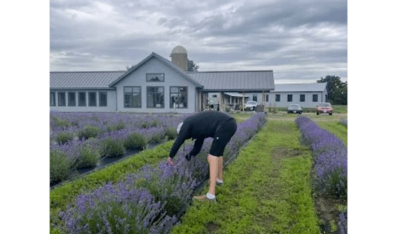 Bus Tour: Lavender Farm & the Chippewa Valley w/ Historian Dave ...