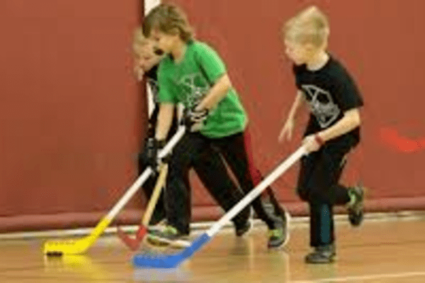 Skyhawks: Mini-Hawk Floor Hockey (Ages 5-6) - Community Education ...
