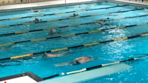 Adult - Mankato Community Education