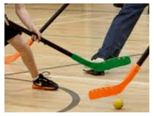 Pilot Knob: Floor Hockey with Mr. Herzan (Grades: 1-4) - TriDistrict ...