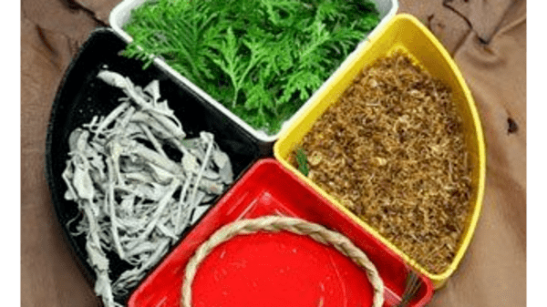 Cooking by the 13 Moons: Indigenous Seasons of Food Series: Under the ...