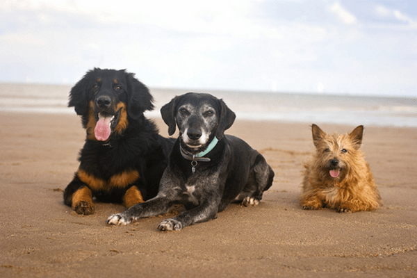 Adult - Monticello Community Education