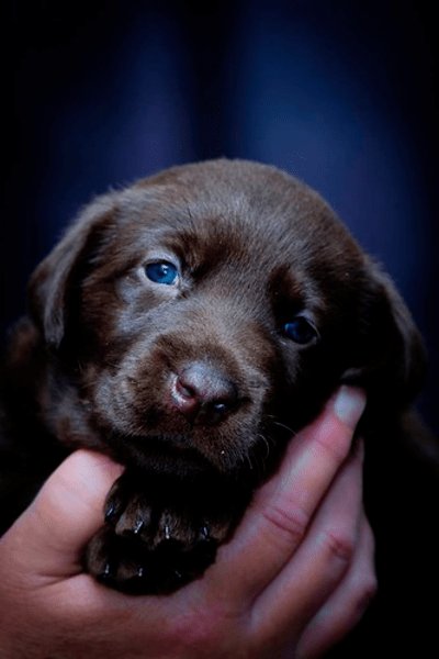 Adult - Monticello Community Education