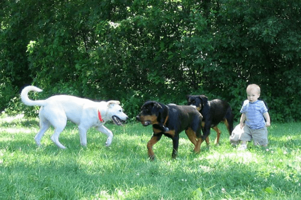 Adult - Monticello Community Education