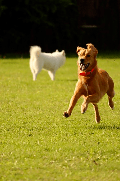 Adult - Monticello Community Education